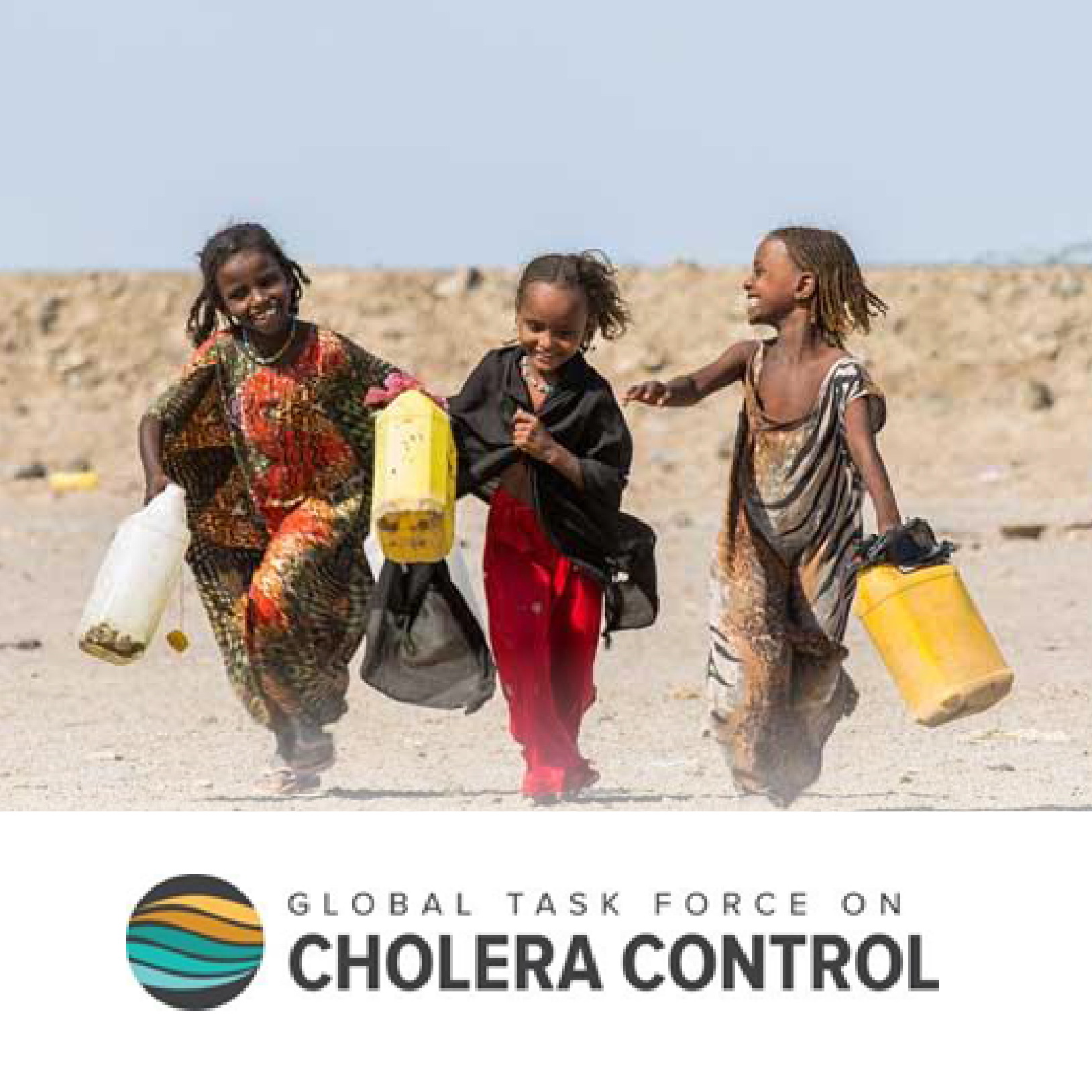 GTFCC sur la voie de l'éradication du choléra : une discussion sur les progrès et défis d'une ...